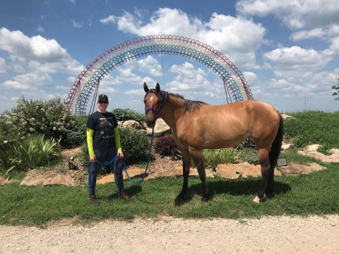 Misty Breeze | Rainbow Meadows